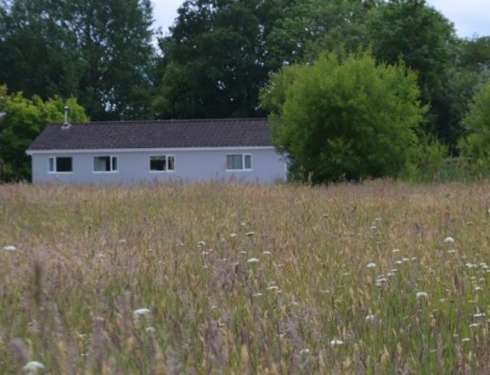 DEVON GIN SCHOOL – Magnolia Lodge Devon