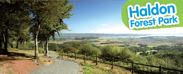 Haldon Forest Park – Magnolia Lodge Devon