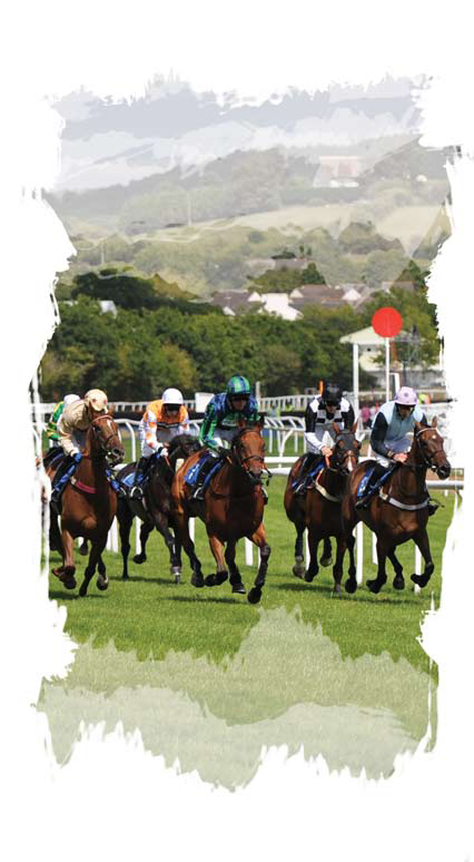 Newton Abbot Race Course – Magnolia Lodge Devon