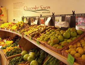 Occombe Farm Shop – Magnolia Lodge Devon